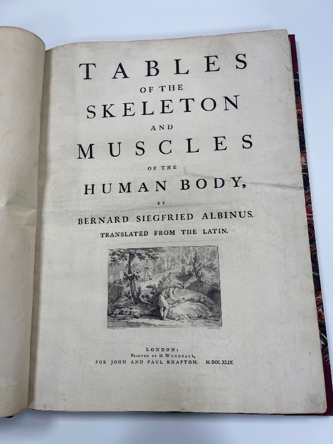 From the Archives – Tables of the skeleton and muscles of the human ...